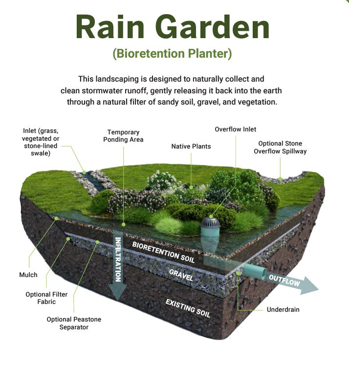 Thinking green: EYA's approach to building sustainable neighborhoods