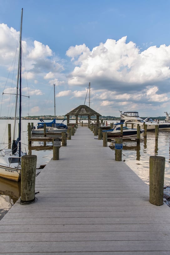 Relocating for Amazon? Here's the Top 5 Reasons Why You Should Live in ...