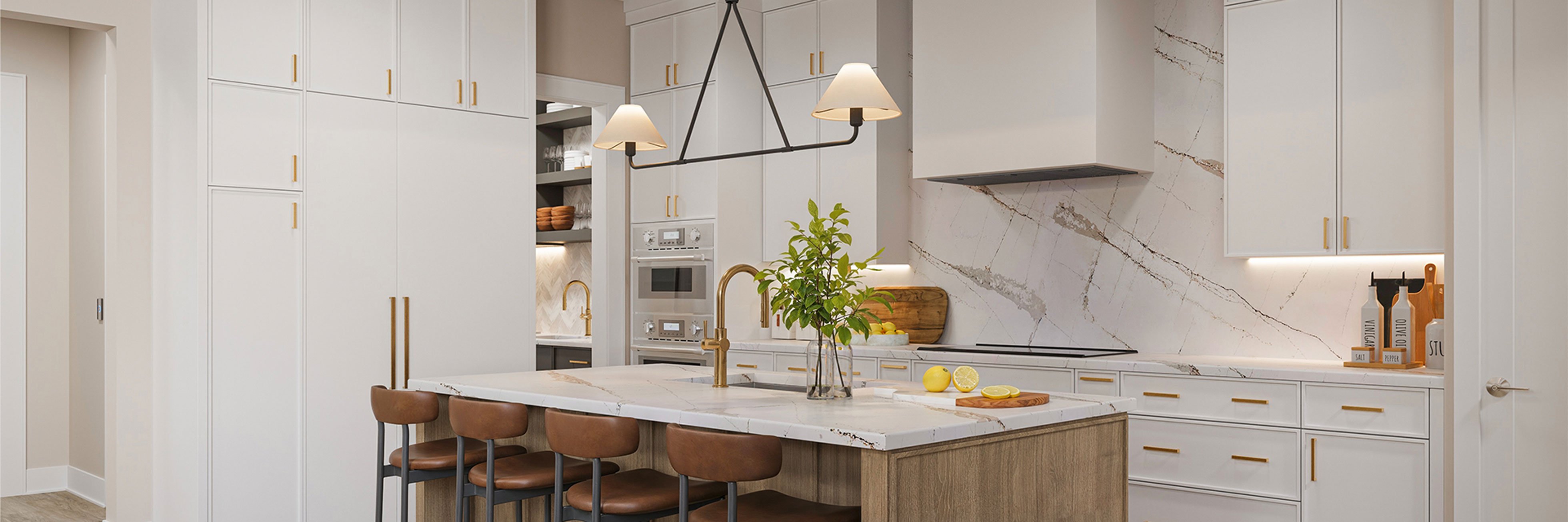 New EYA Homes in Rockville, MD